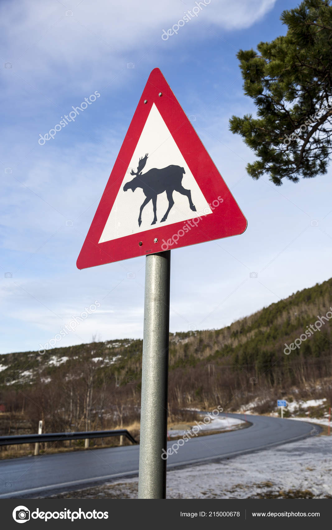 Norwegian Elk Warning Road Sign Stock Photo by ©MelanieLemahieu 215000678