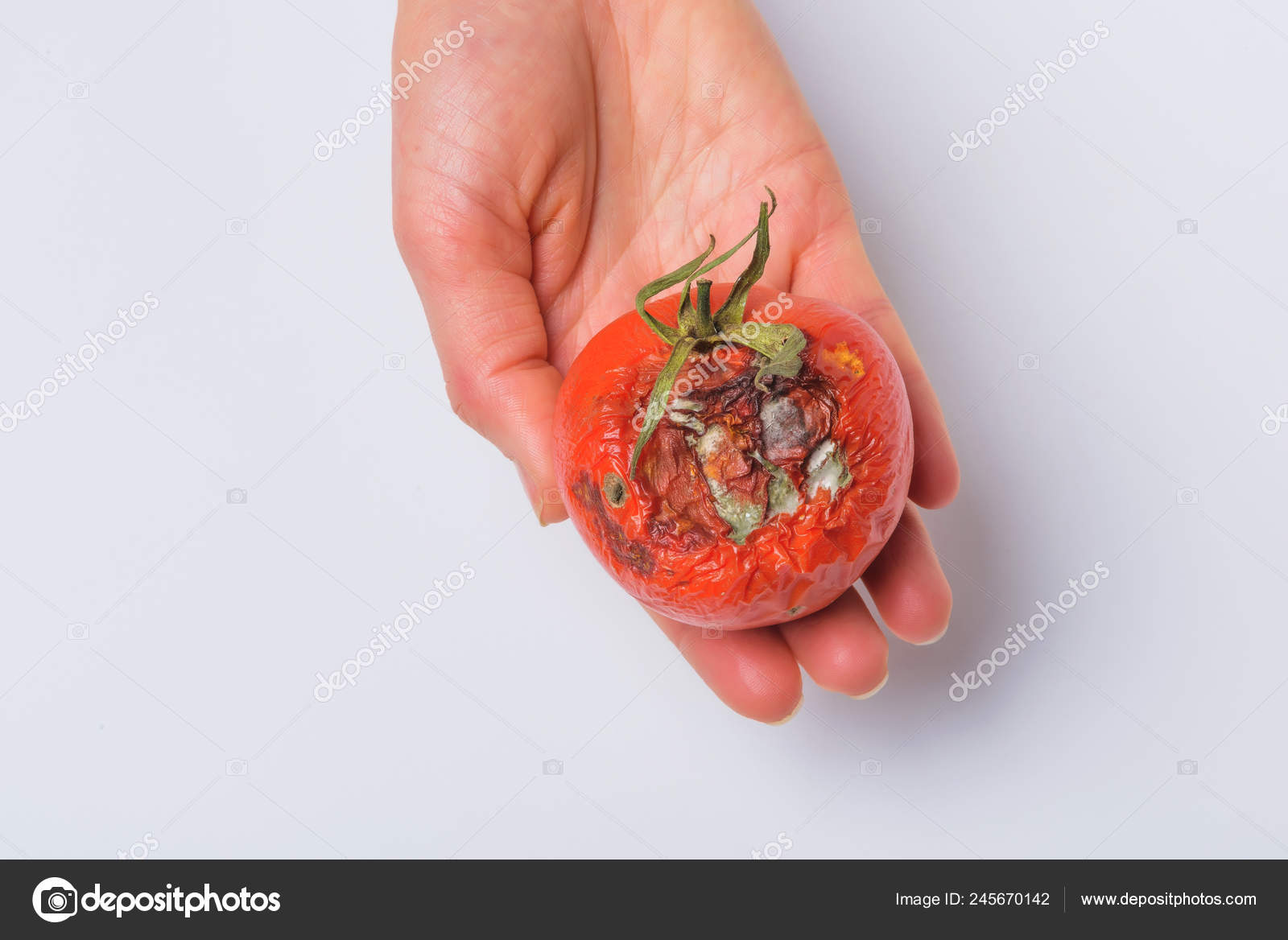 Squashed Tomato