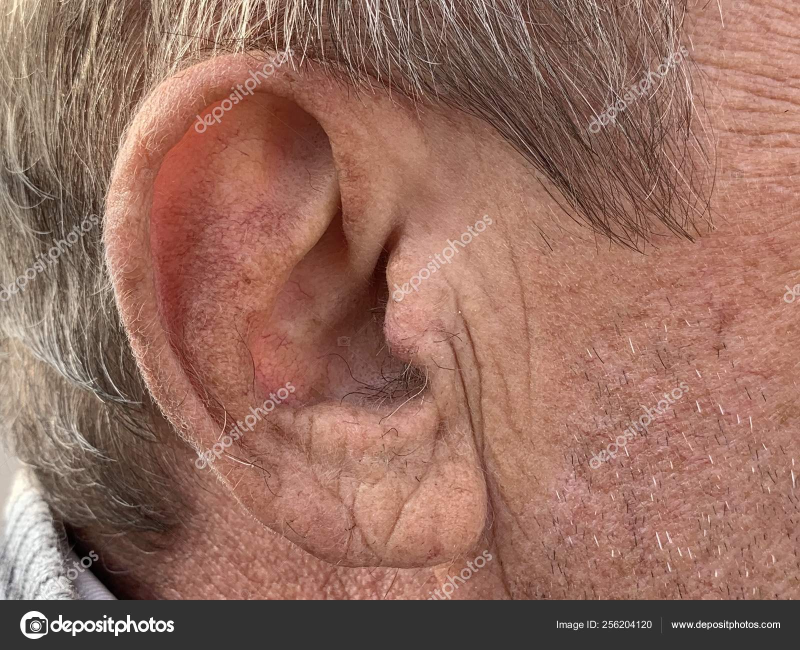 Old Man Ear Hair
