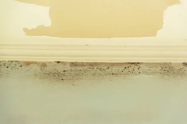 Disgusting texture Stock Photos, Royalty Free Disgusting texture Images ...