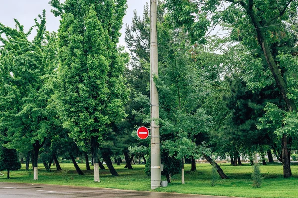 Road sign prohibiting travel. Tall green trees along the sidewalk. Walk ...