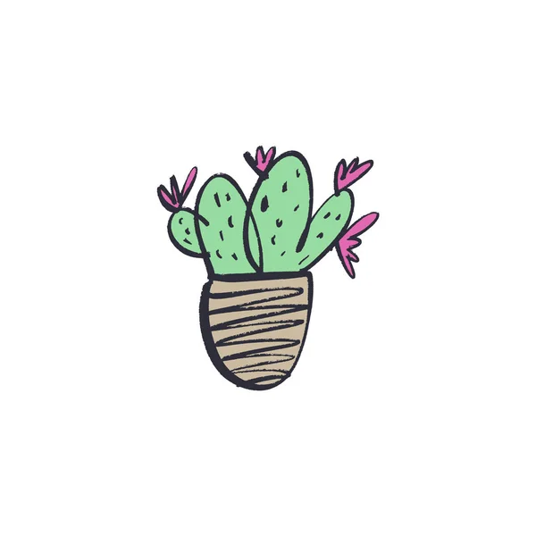 Cactus Flower Drawing Tumblr