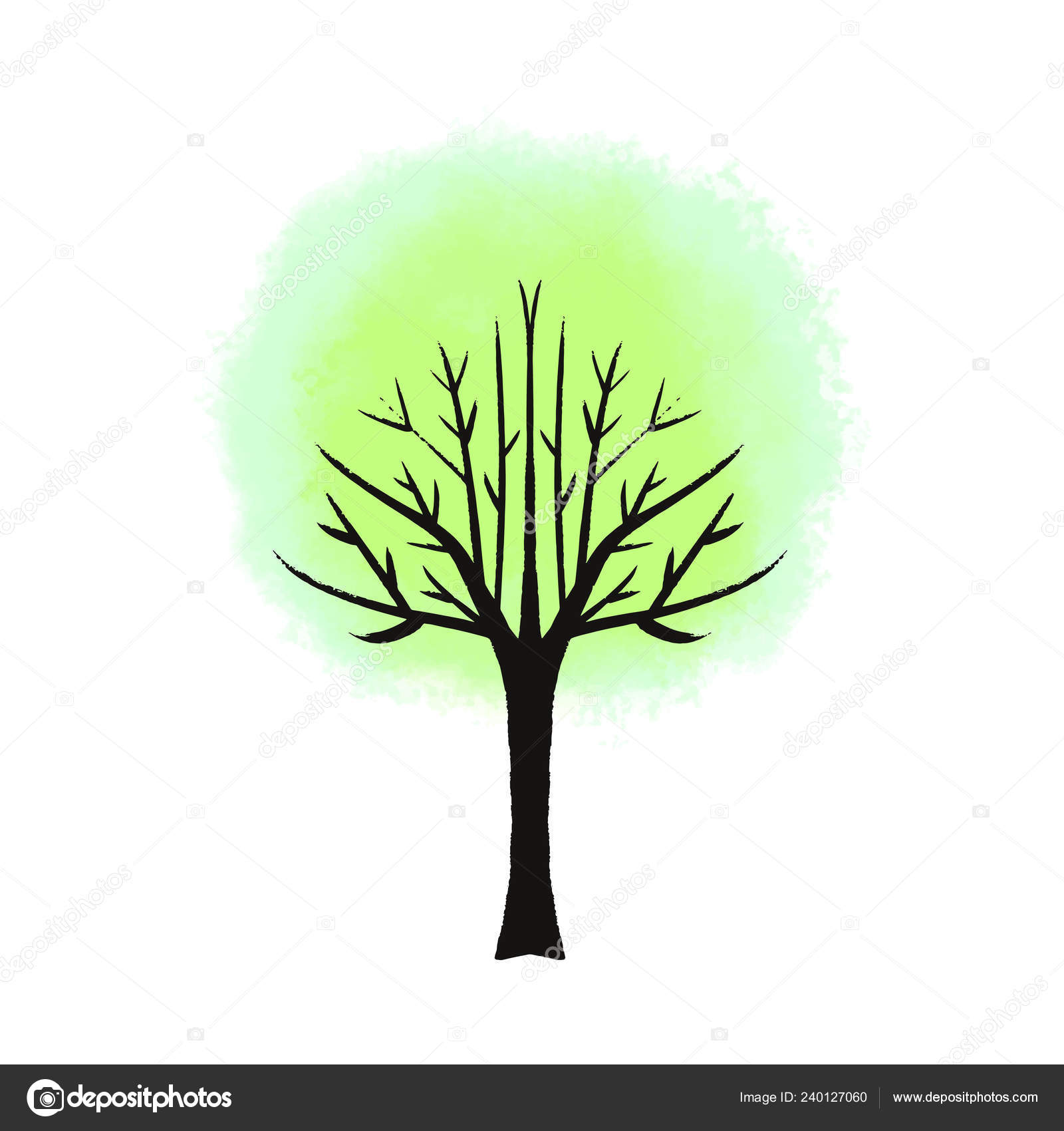 Green Summer Tree Hand Drawn Illustration Watercolor Painting White ...