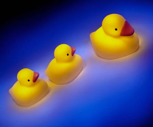 Three Rubber Ducks Stock Photo by ©Steve_Allen 17378989