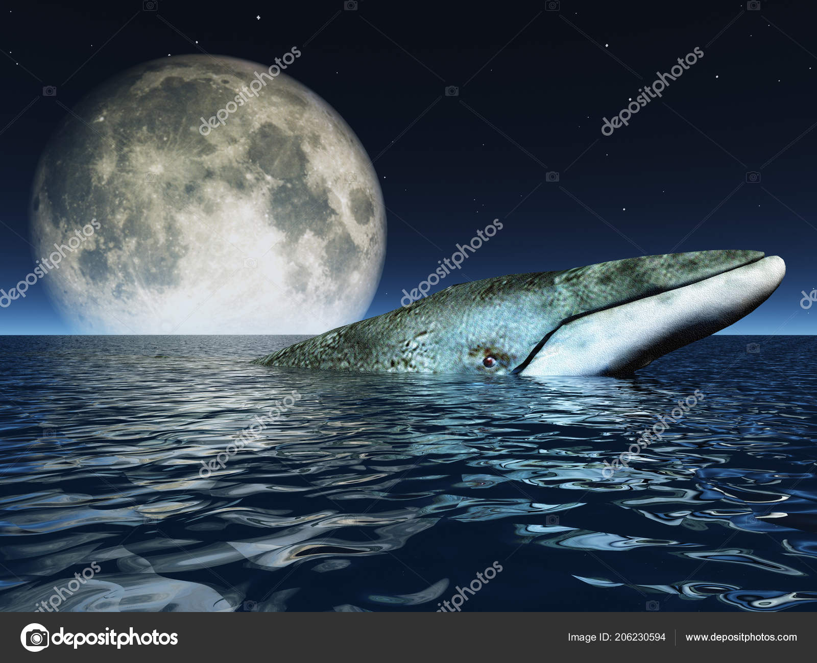 Whale Oceans Surface Full Moon Stock Photo by ©rlffimageso 206230594