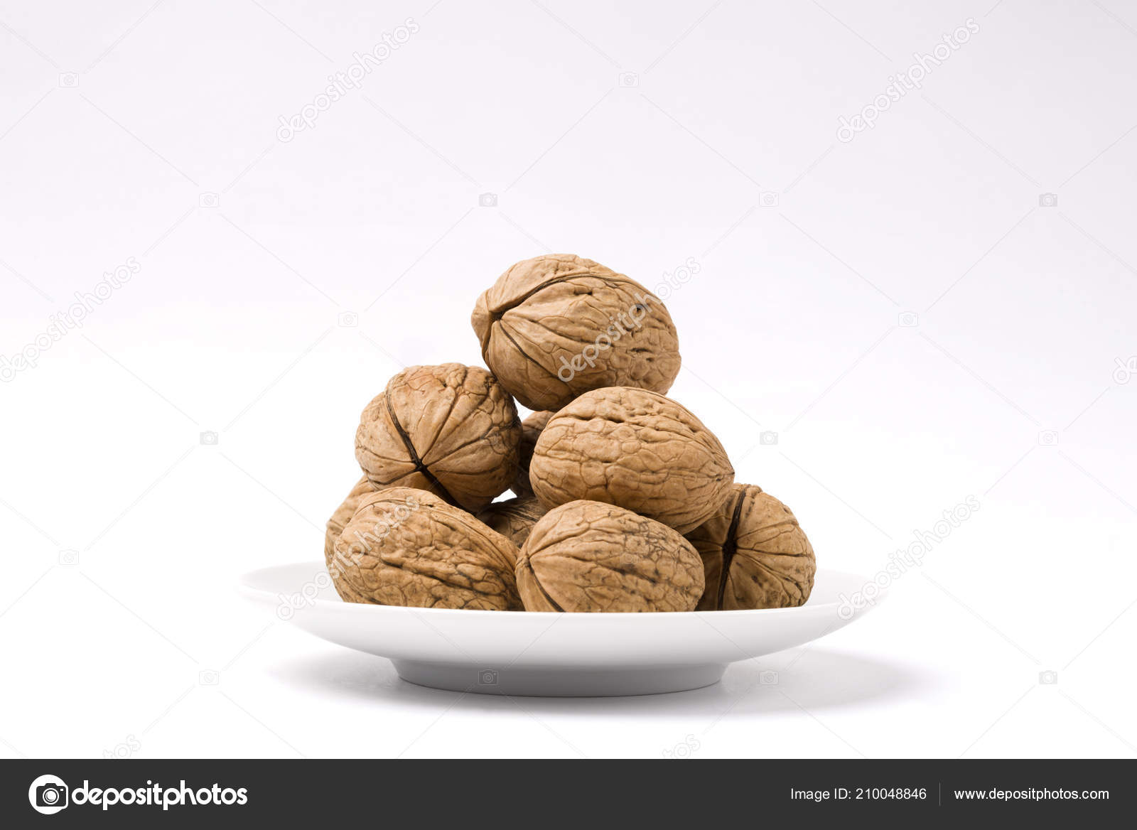Walnut Isolated White Background Stock Photo by ©BaRoN81RED 210048846