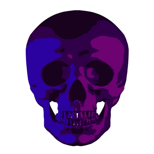 Purple skull Stock Photos, Royalty Free Purple skull Images | Depositphotos