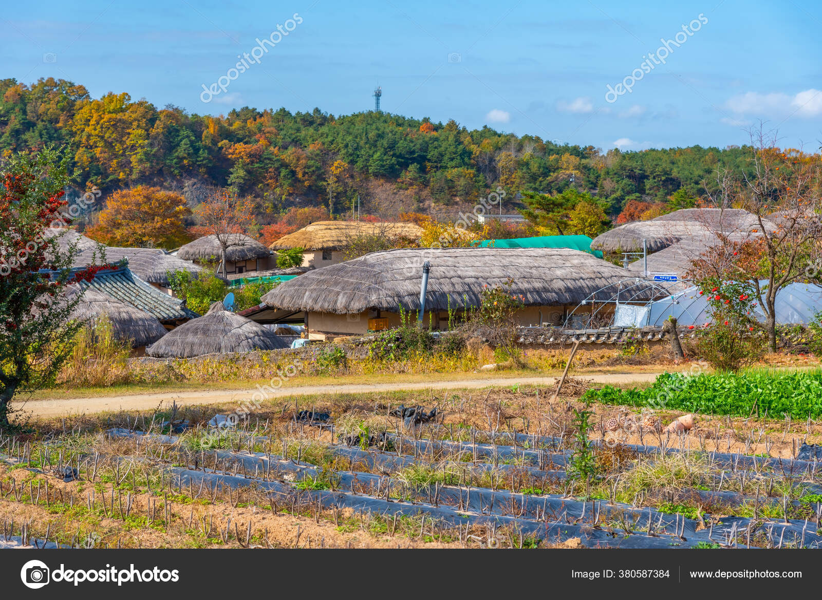 Typical Farm Houses Hahoe Folk Village Republic Korea — Stock Photo ...