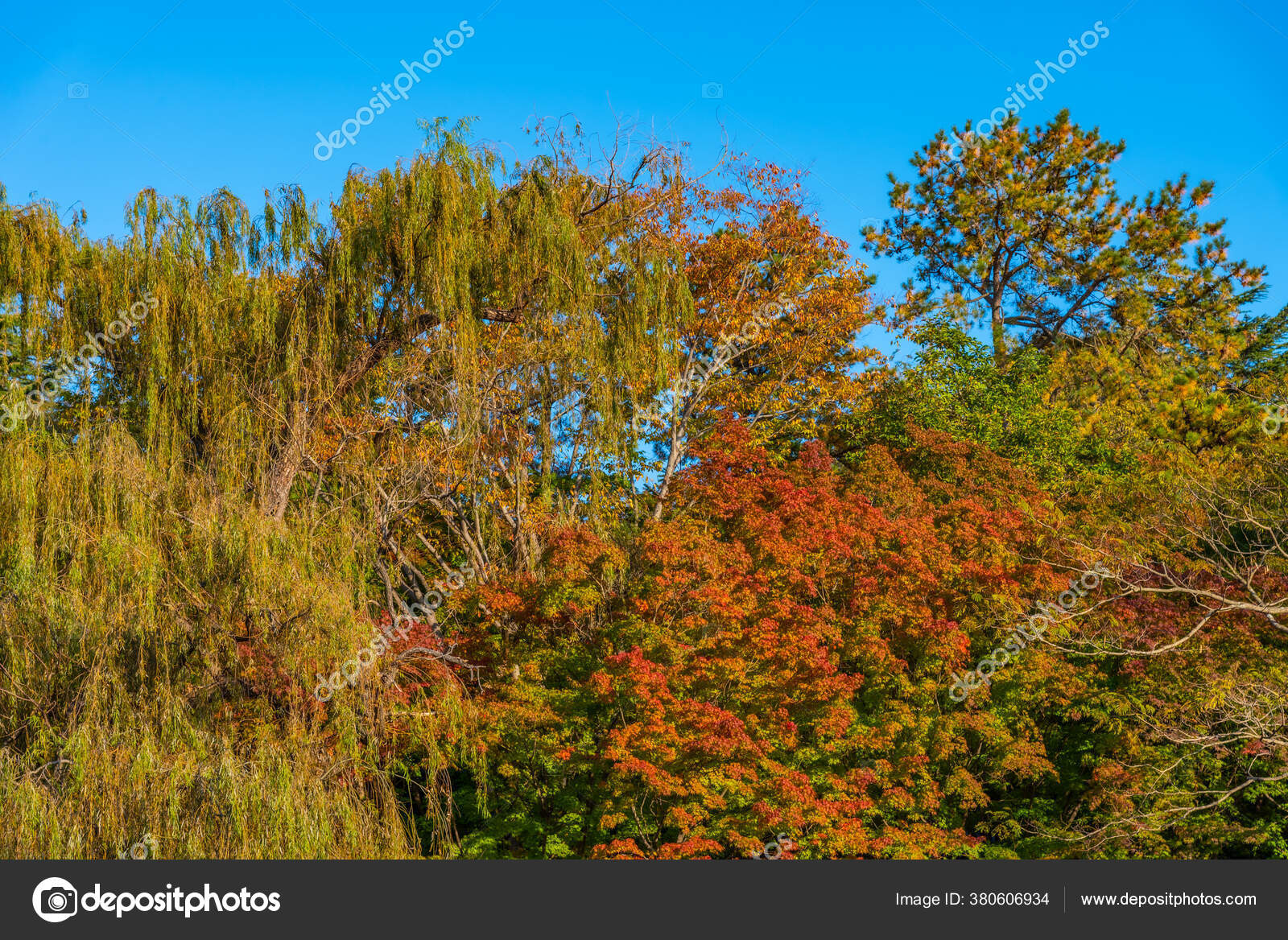 Colorful Trees Bulguksa Temple Republic Korea Stock Photo by ©Dudlajzov ...