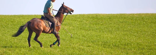 Horseback riding Stock Photos, Royalty Free Horseback riding Images ...