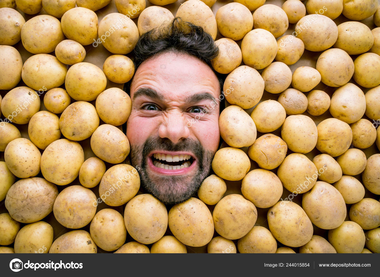 Man Potatoes Concept Food Industry Face Grimacing Man Potatoes Area ...