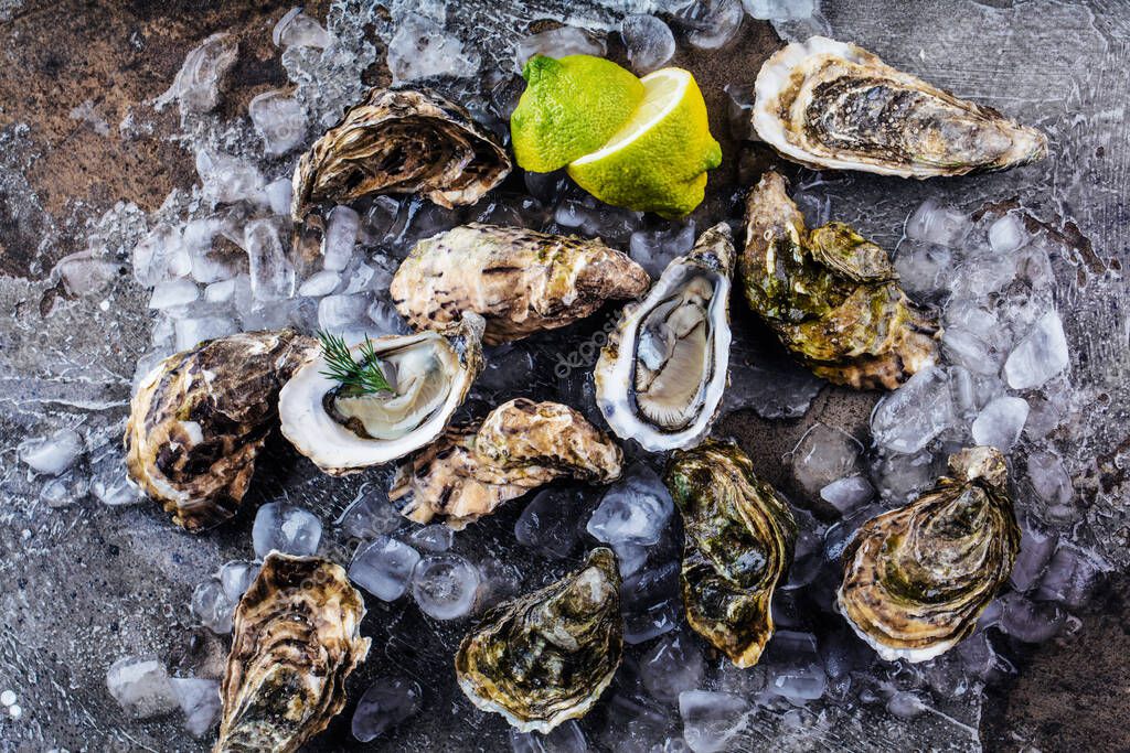 vista superior de deliciosas ostras con lima sobre cubitos de hielo 2024