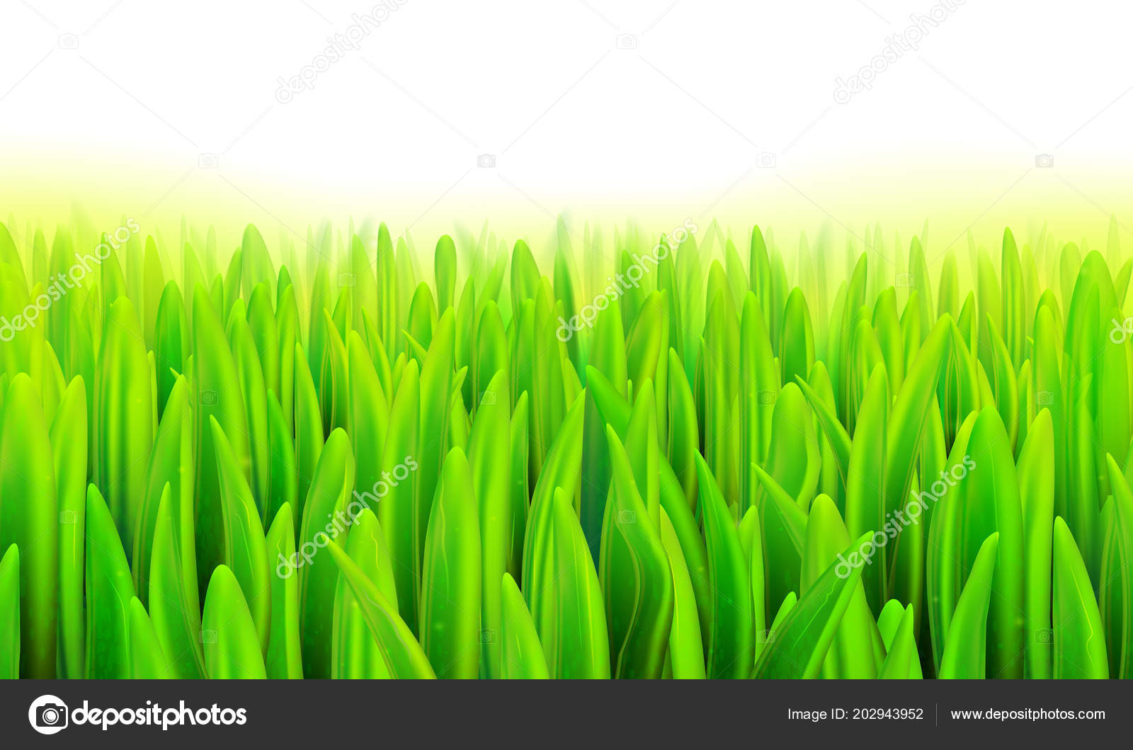 Stock vector illustration realistic macro grass, lawn, turf on a white ...