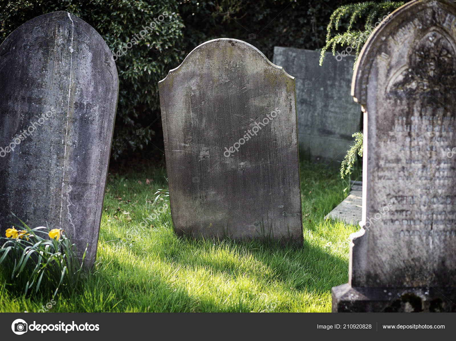 Blank Gravestone Graveyard Old Decayed Grunge Ready Text Trees Bushes ...