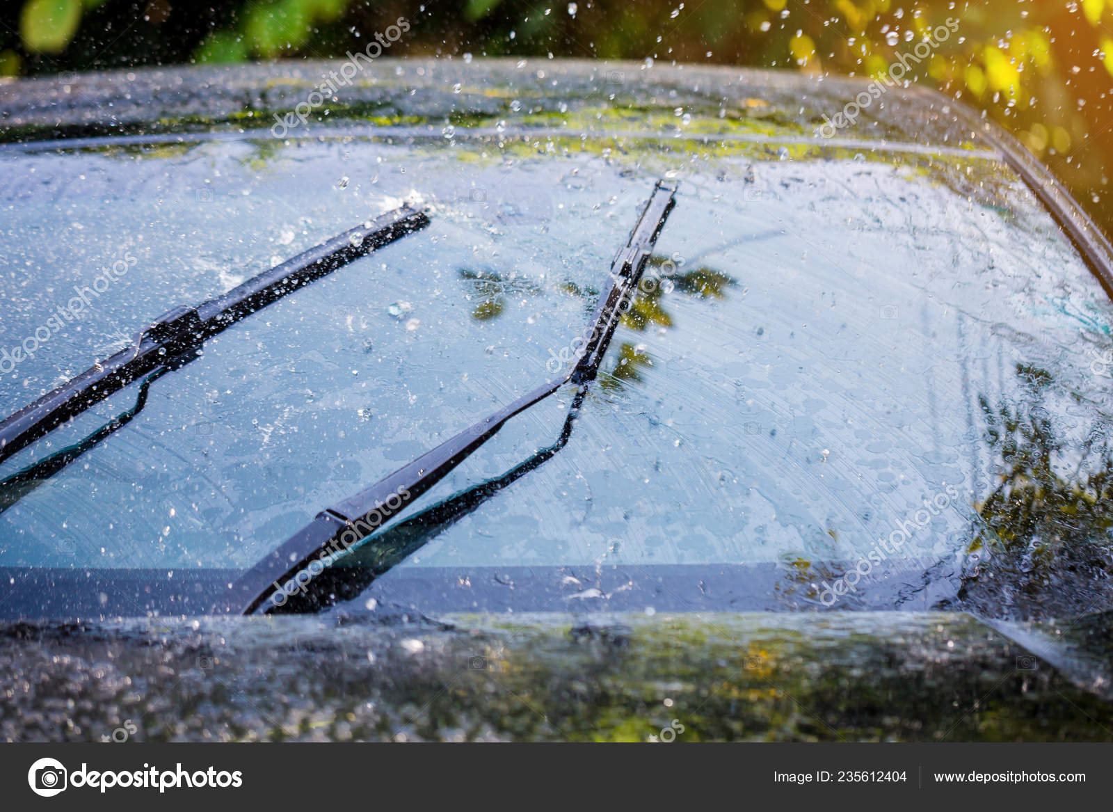 Windshield Wipers Rain