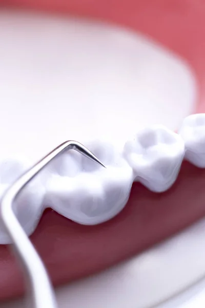 Dentist cleaning teeth with titanium metal tooth pick instrument to ...