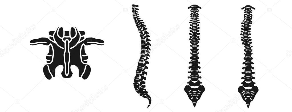 Brain and spine Vector Art Stock Images | Depositphotos