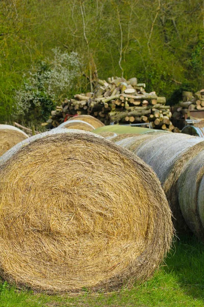 Pile of straw bale piles Stock Photos, Royalty Free Pile of straw bale ...