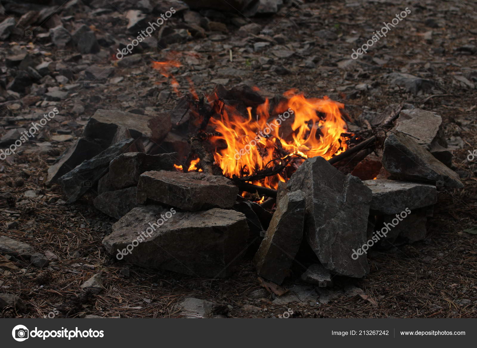 Fire Fire Nature Campfire Outdoor Recreation Fire Forest Picnic Flame ...