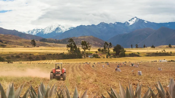 Country man Stock Photos, Royalty Free Country man Images | Depositphotos