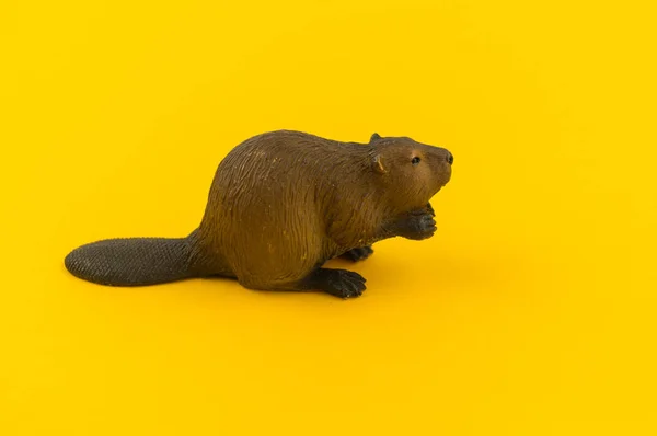 O gopher Stock Photos, Royalty Free O gopher Images | Depositphotos