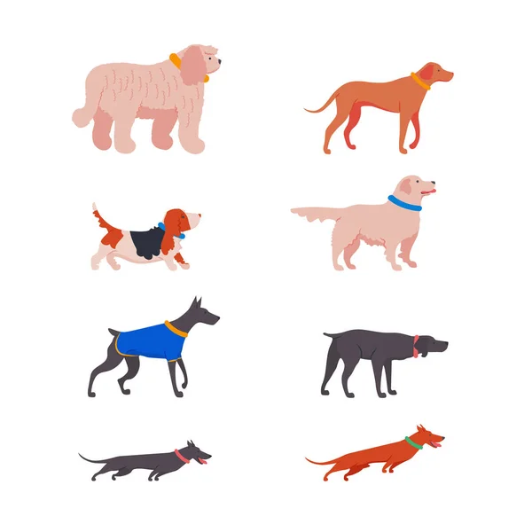 Pictures : working dogs | Dog breeds. Working dogs — Stock Vector ...