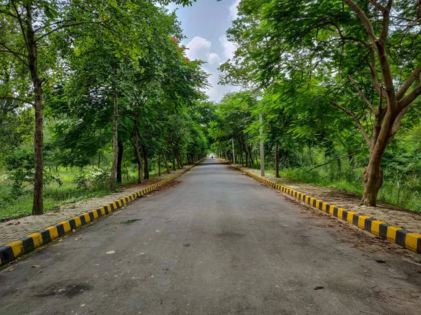 Confused road Stock Photos, Royalty Free Confused road Images ...