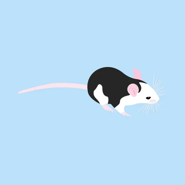 15,289,424 Running rat Vector Images | Depositphotos