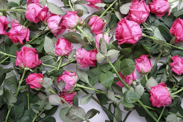 Drying roses Stock Photos, Royalty Free Drying roses Images | Depositphotos