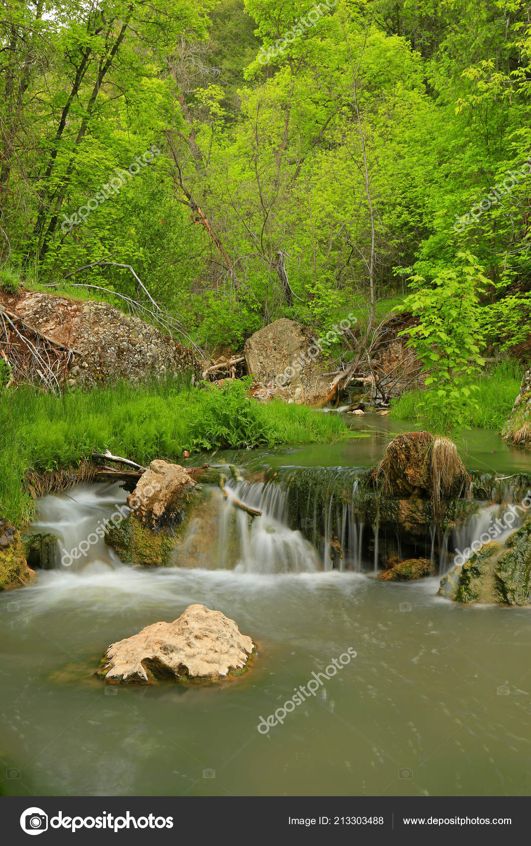 Flowing River Spring Greenery Utah Usa — Stock Photo ...