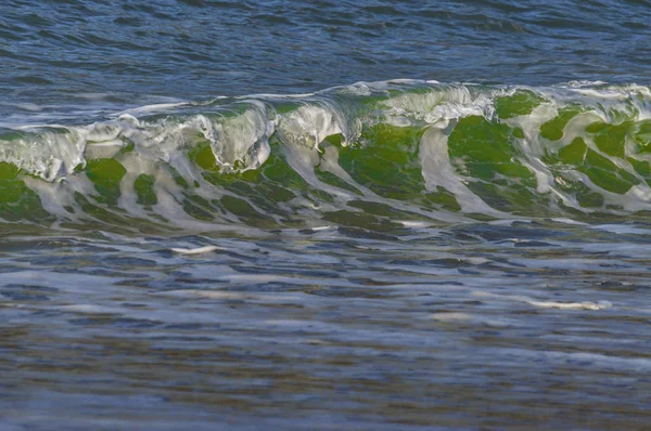 Riley's wave ireland fotos de stock, imágenes de Riley's wave ireland ...