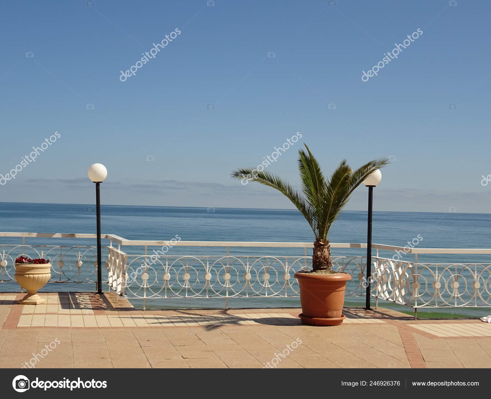 Balcony Sea View Palm Stock Photo by ©Imagesto 246926376