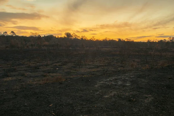 Burnt land Stock Photos, Royalty Free Burnt land Images | Depositphotos