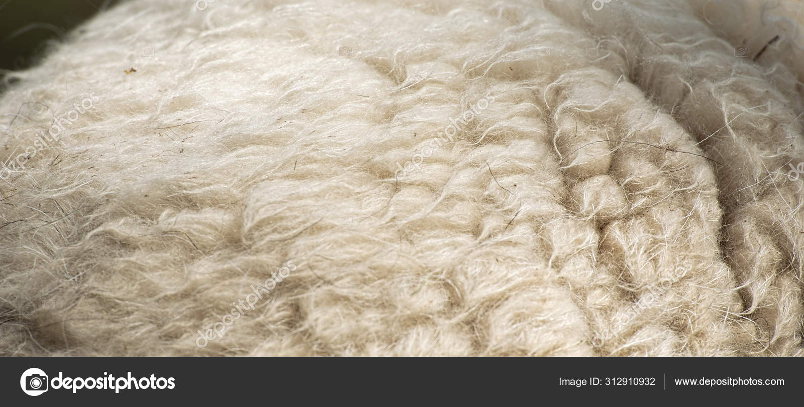 Close up to nature sheep's fluffy wool — Stock Photo © artistrobd ...