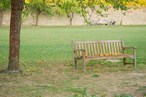 Park Bench — Stock Photo © Laksen #1690229