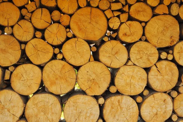 Cuentas madera Stock Photos, Royalty Free Cuentas madera Images ...