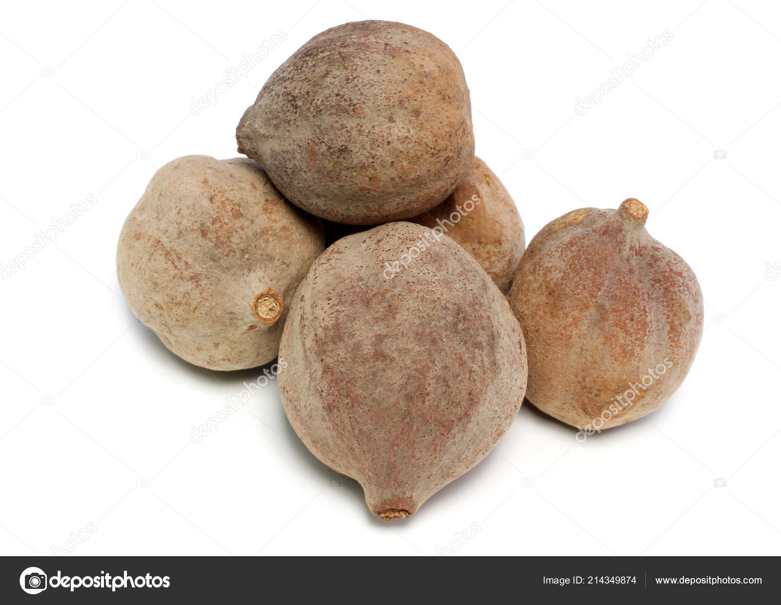 Medicinal Bahera Fruits Isolated White Background Stock Photo by ...