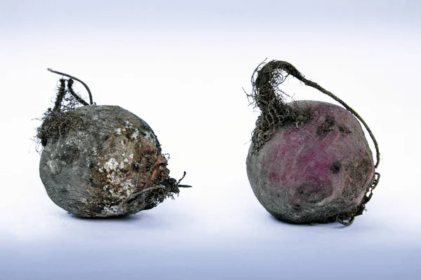 Verduras podridas fotos de stock, imágenes de Verduras podridas sin ...