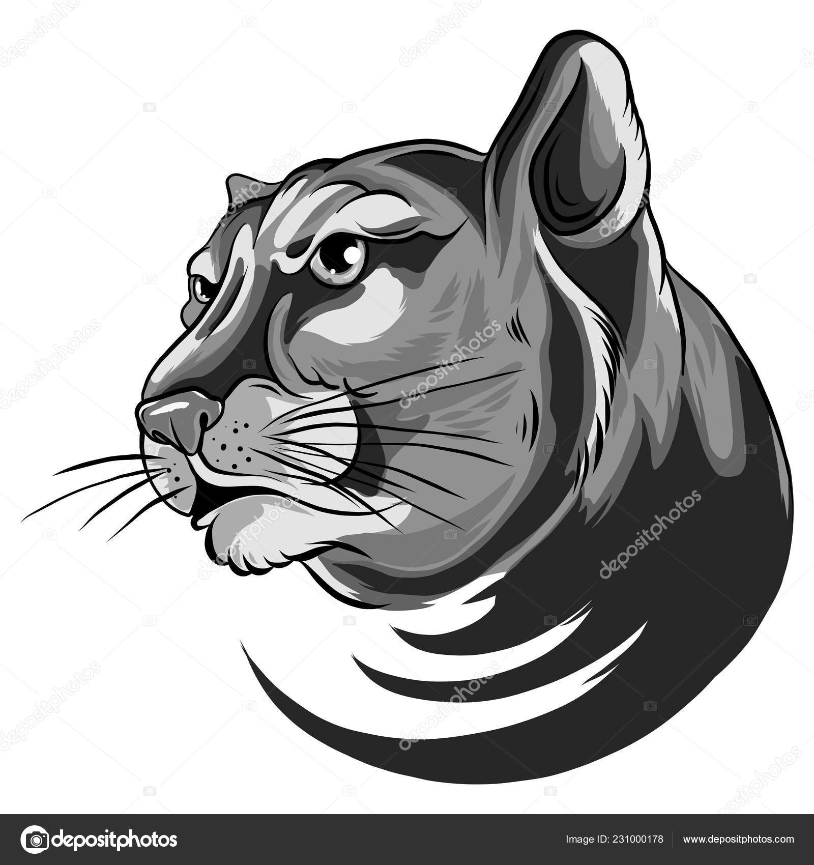 Tegneserie Cougar Tegning Grå/grå Farve Graffiti Street Pop Artwork