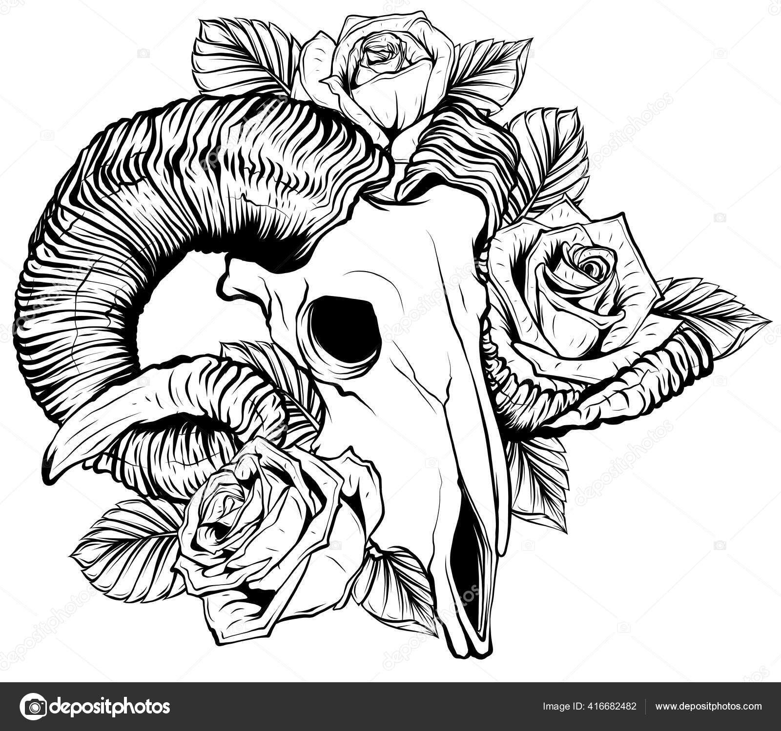 Goat skull vector illustration. goat devilish magical symbol and ...