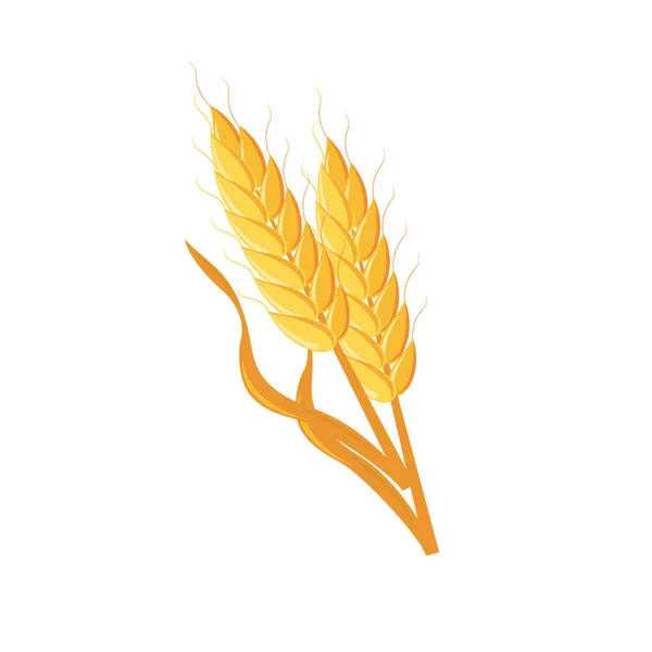 563 Wheat crops Vector Images | Depositphotos