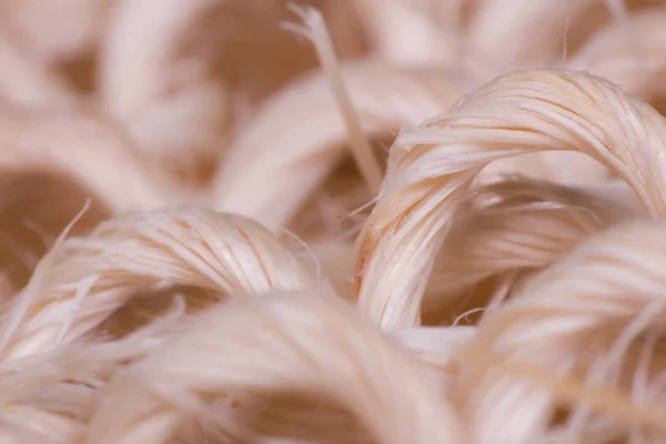 Grãos de fibras images libres de droit, photos de Grãos de fibras ...