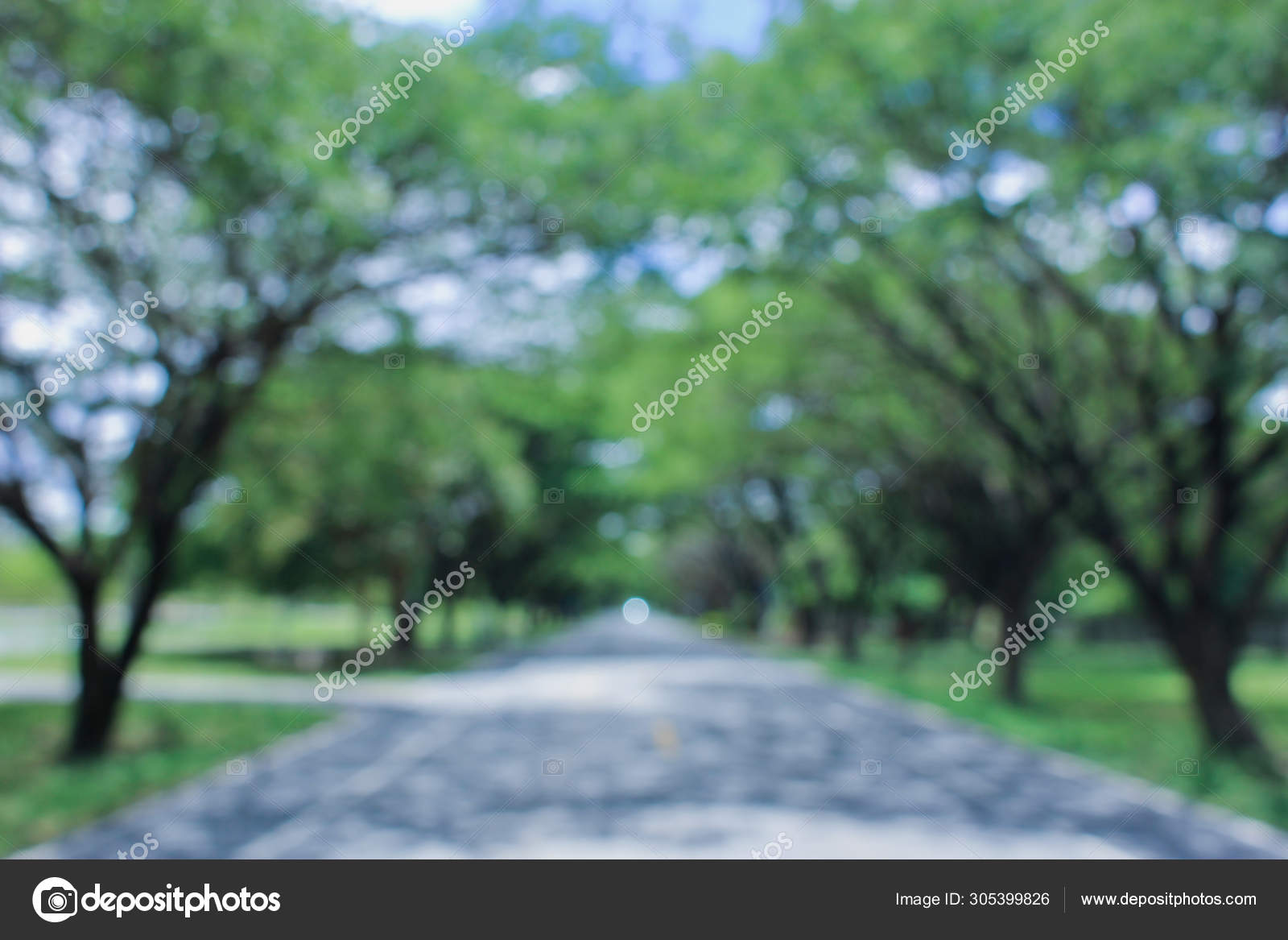 Background Photography Blur Road Nature Wallpaper Hd