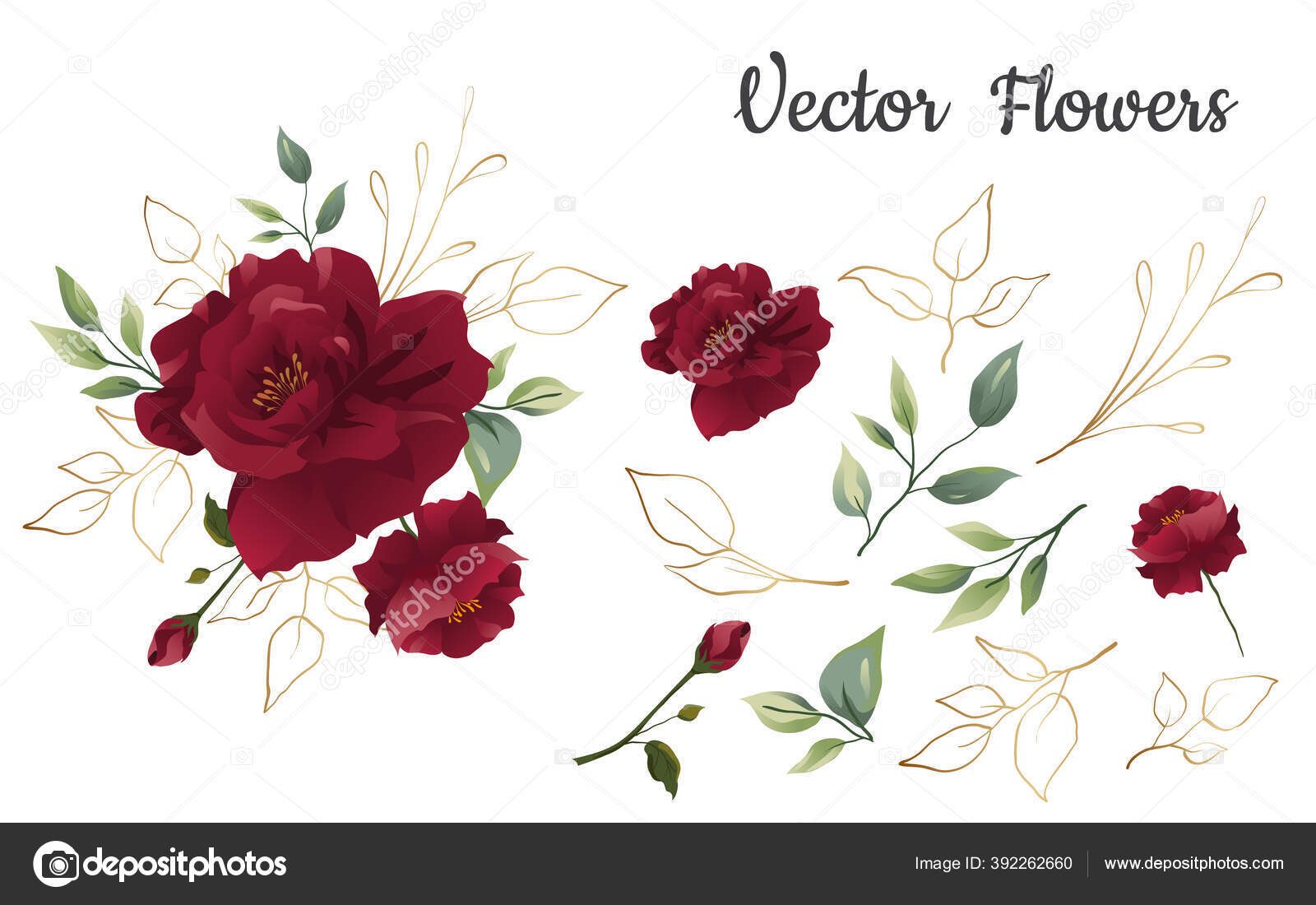 Set Flower Red Rose Green Leaves Floral Poster Invite Vector Stock ...