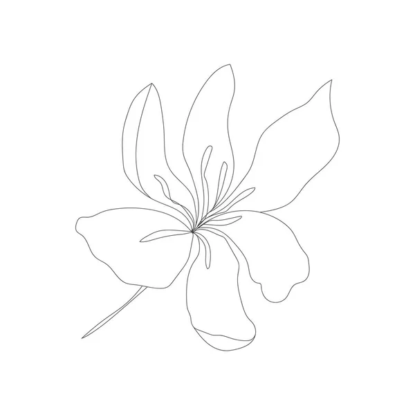 Simple Flower Line Drawing Vector | Best Flower Site