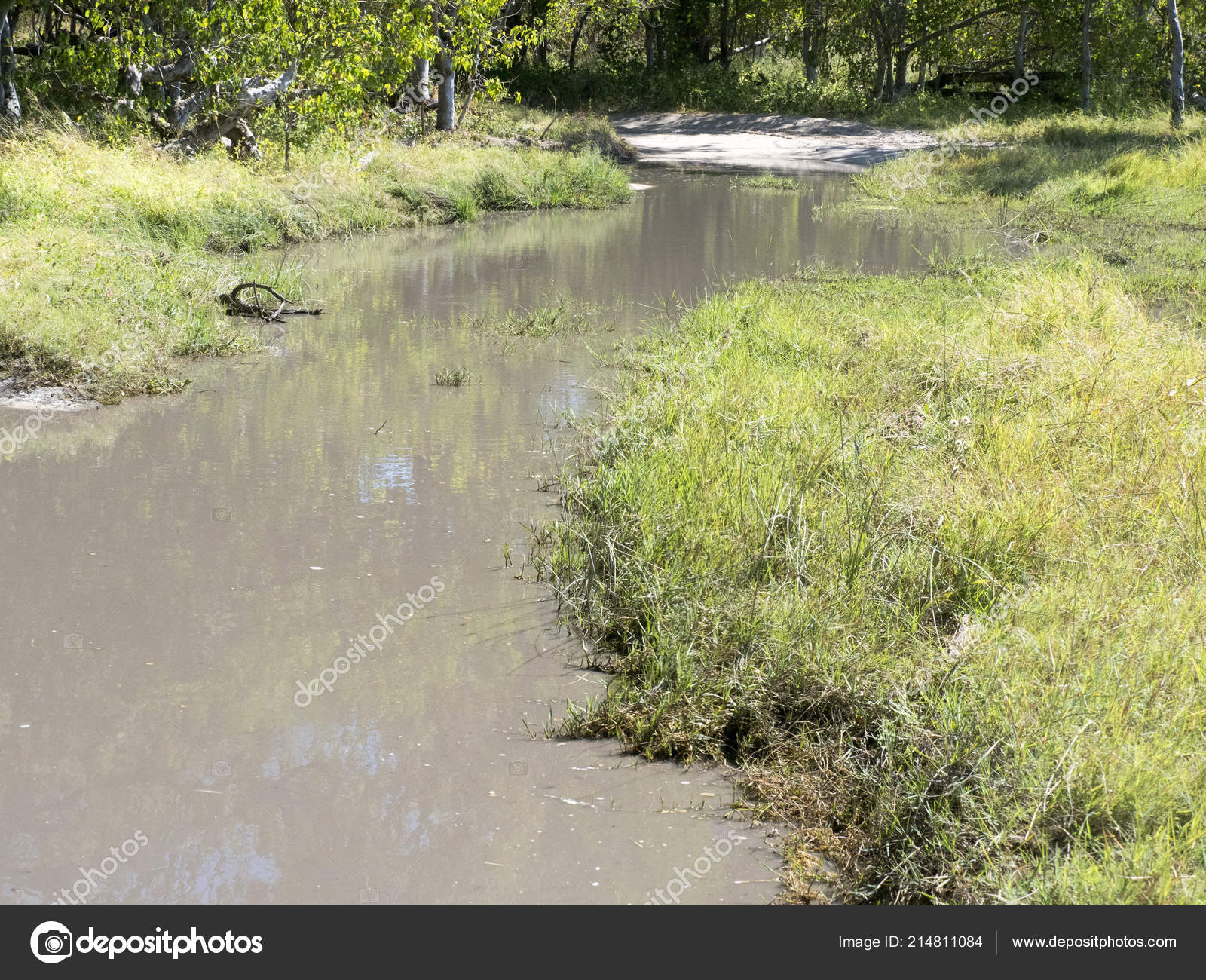 Muddy Landscape Moremi National Park Botswana — Stock Photo © jirousek ...