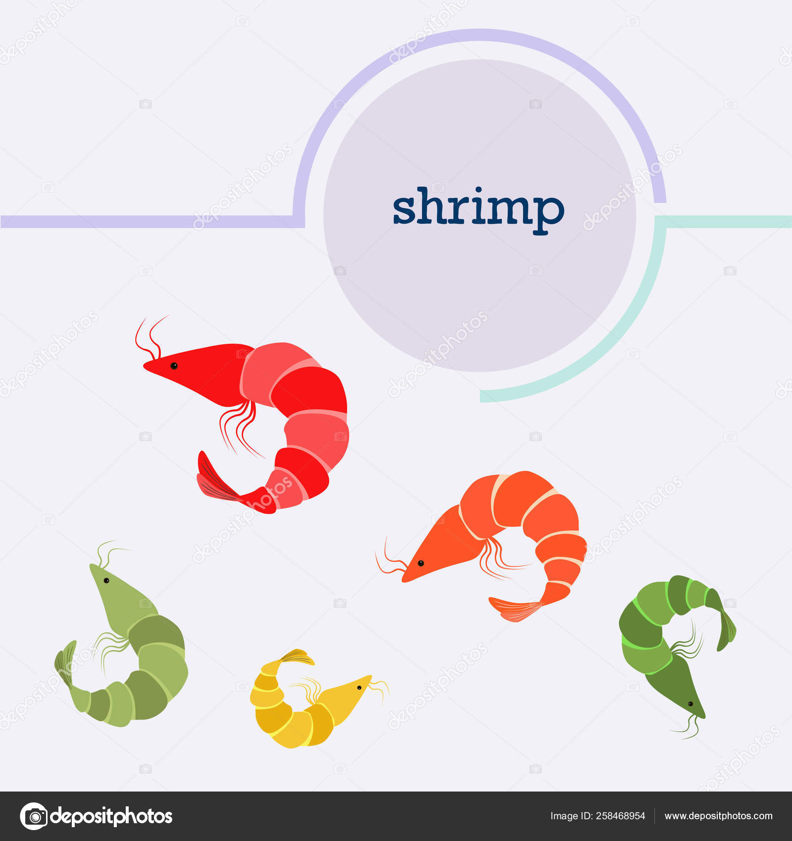 Shrimp fresh seafood. Vector backgroung. Food and restaurant design ...
