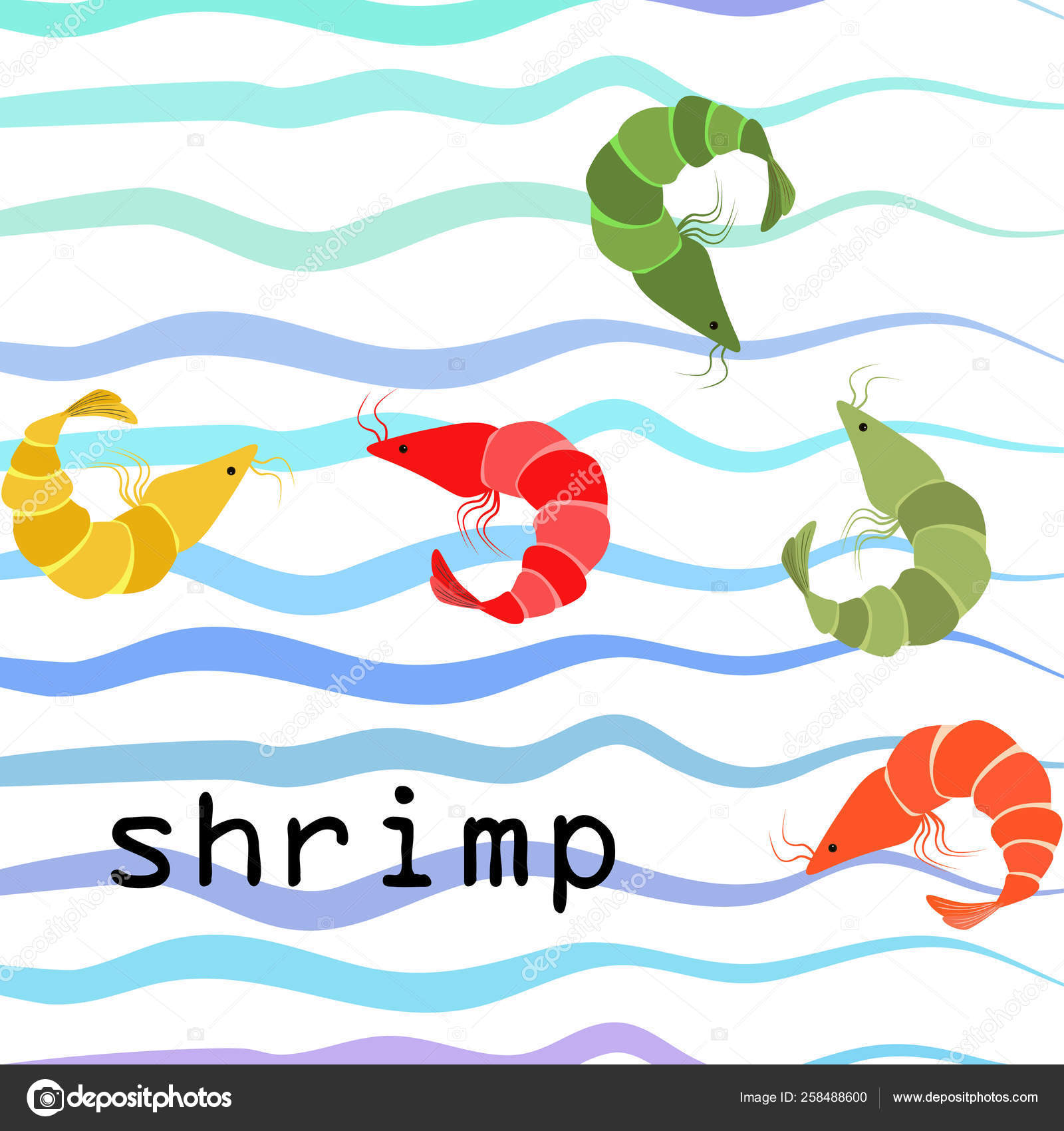 Shrimp fresh seafood. Vector backgroung. Food and restaurant design ...