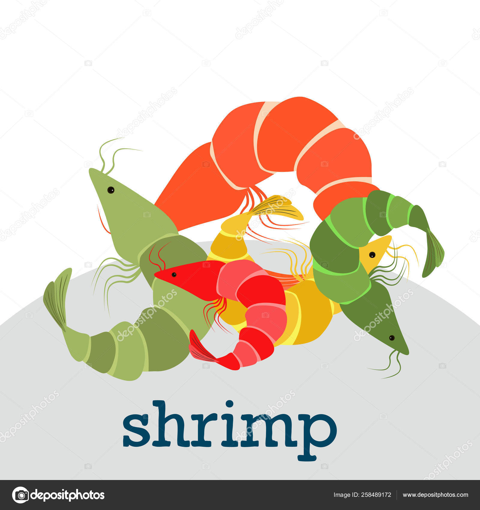 Shrimp fresh seafood. Vector backgroung. Food and restaurant design ...