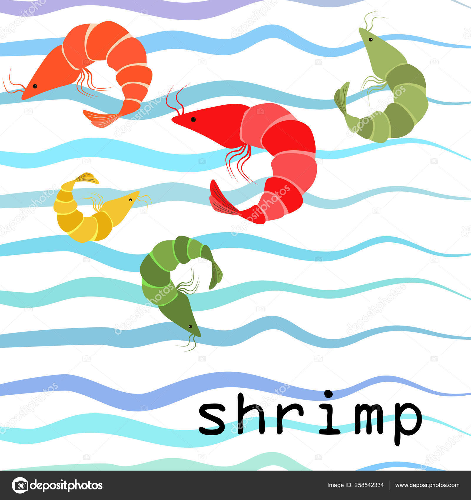 Shrimp fresh seafood. Vector backgroung. Food and restaurant design ...